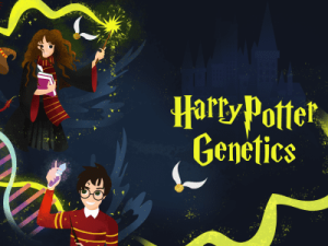 Harry Potter Genetics – Next Level Homeschool