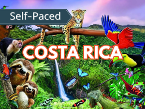 Costa Rica: A Virtual Field Trip – Next Level Homeschool